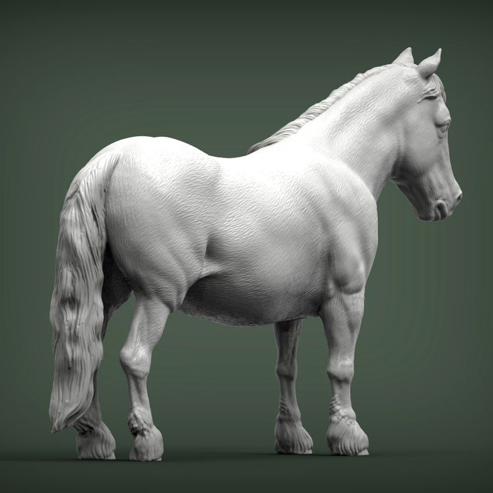 3D Printable pony by Alexander3dart
