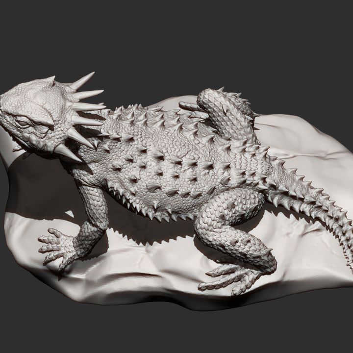 3D Printable Flat-horned toad lizard by Alexander3dart