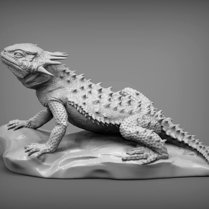 3D Printable Flat-horned toad lizard by Alexander3dart