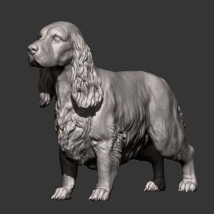 3D Printable English cocker spaniel sitting by Alexander3dart