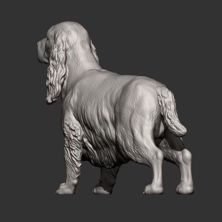 3D Printable English cocker spaniel sitting by Alexander3dart