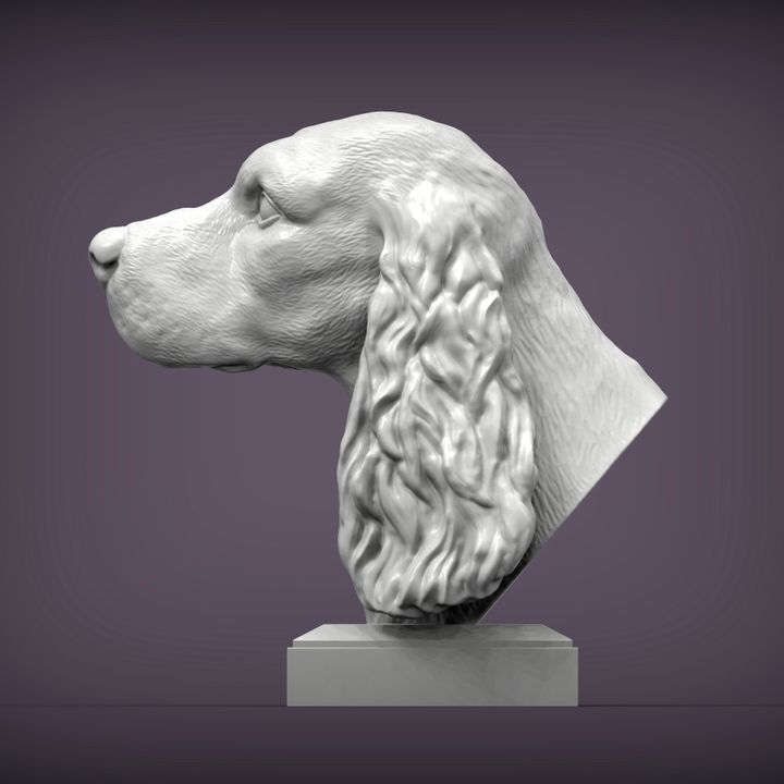 3D Printable English Cocker Spaniel by Alexander3dart