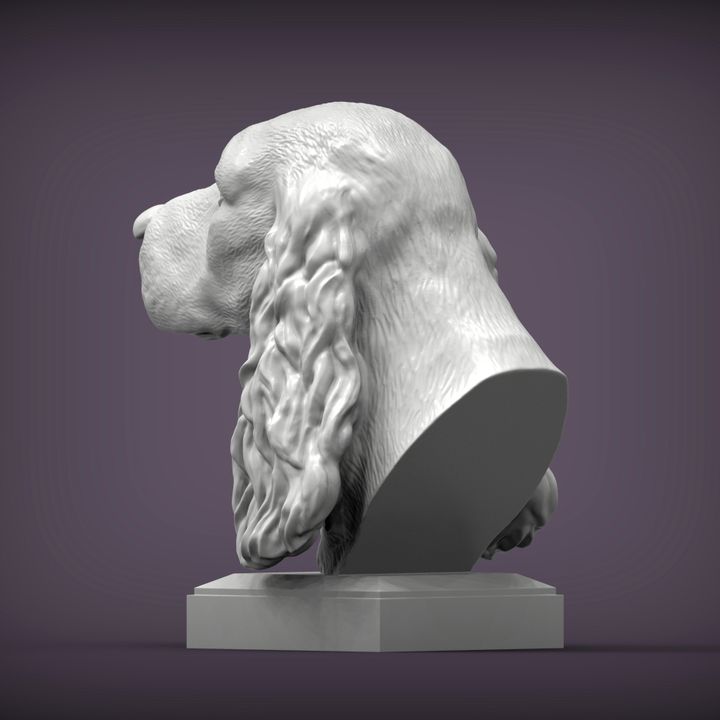 3D Printable English Cocker Spaniel by Alexander3dart