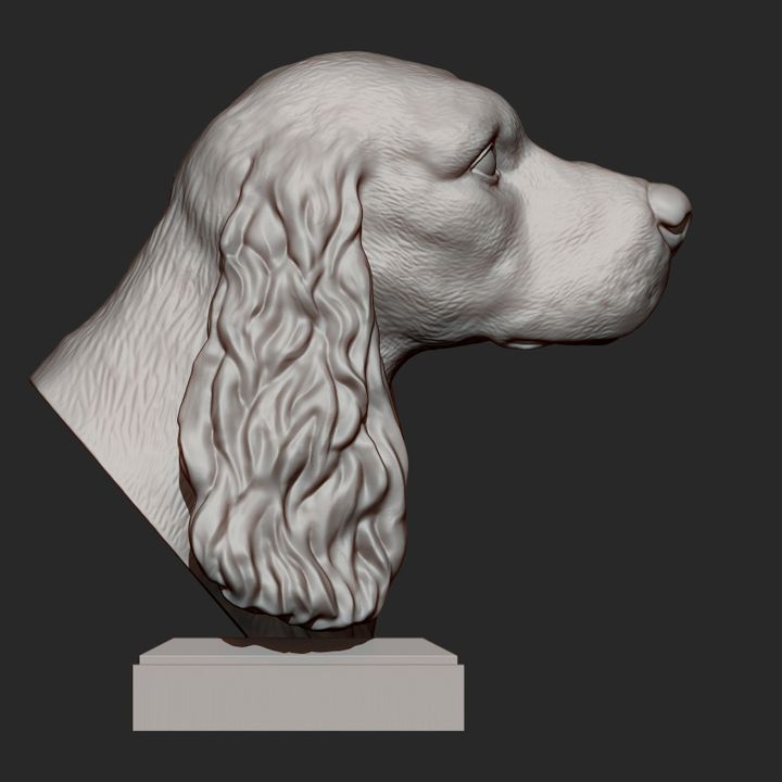 3D Printable English Cocker Spaniel by Alexander3dart
