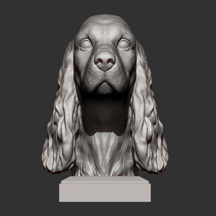 3D Printable English Cocker Spaniel by Alexander3dart