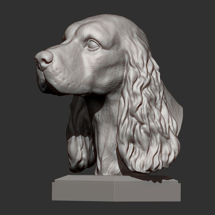 3D Printable English Cocker Spaniel by Alexander3dart