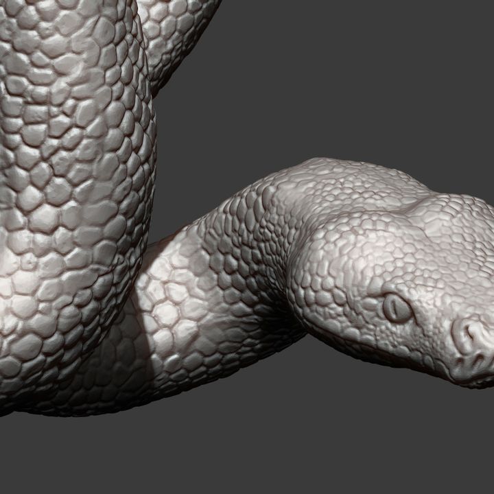 3D Printable boa by Alexander3dart
