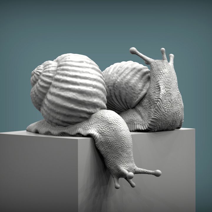 3D Printable Snail two snails by Alexander3dart
