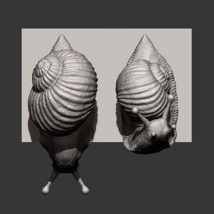 3D Printable Snail two snails by Alexander3dart
