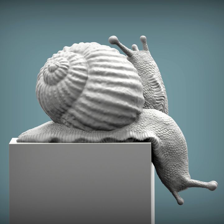 3D Printable Snail two snails by Alexander3dart