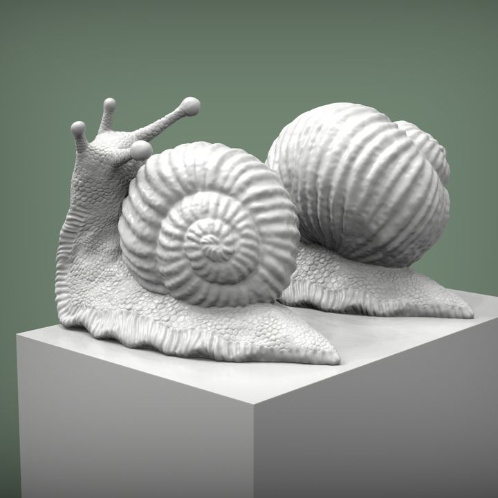 3D Printable Snail two snails by Alexander3dart