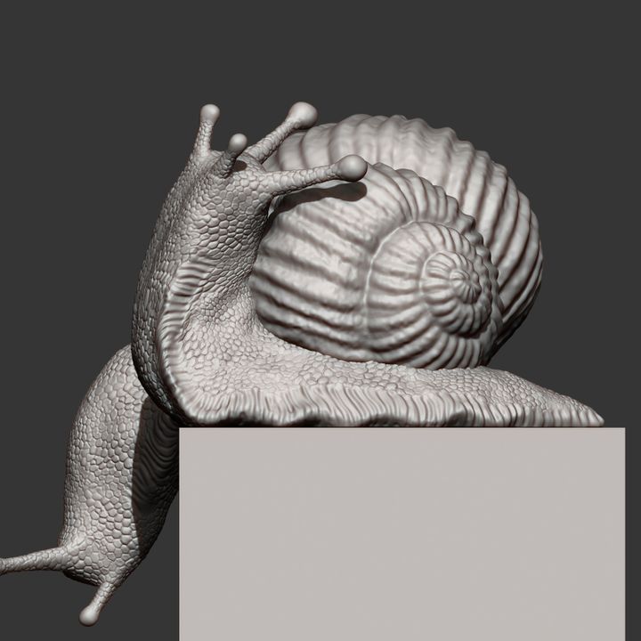 3D Printable Snail two snails by Alexander3dart