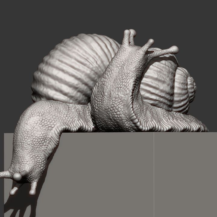 3D Printable Snail two snails by Alexander3dart