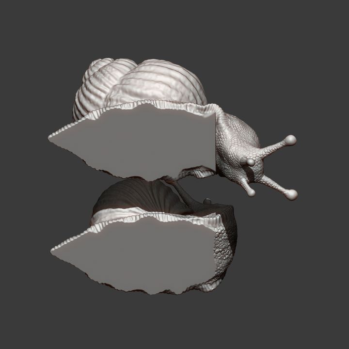 3D Printable Snail two snails by Alexander3dart