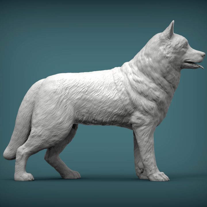 3D Printable Husky by Alexander3dart