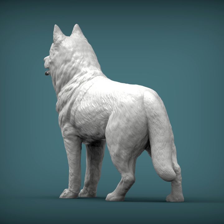 3D Printable Husky by Alexander3dart