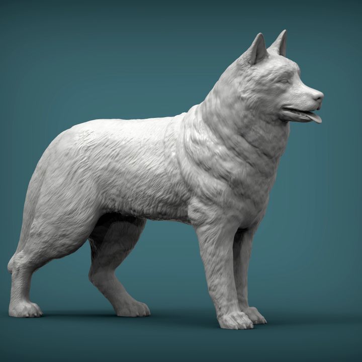3D Printable Husky by Alexander3dart