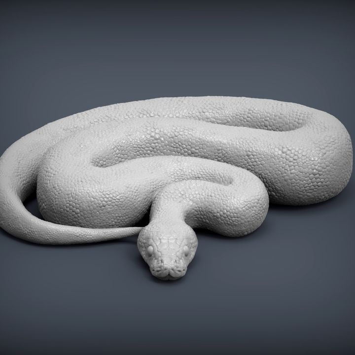 3D Printable Ball Pythons by Alexander3dart