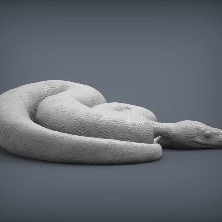 3D Printable Ball Pythons by Alexander3dart