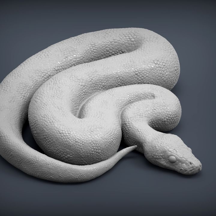 3D Printable Ball Pythons by Alexander3dart