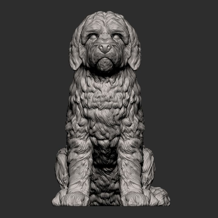 3D Printable GoldenDoodle by Alexander3dart