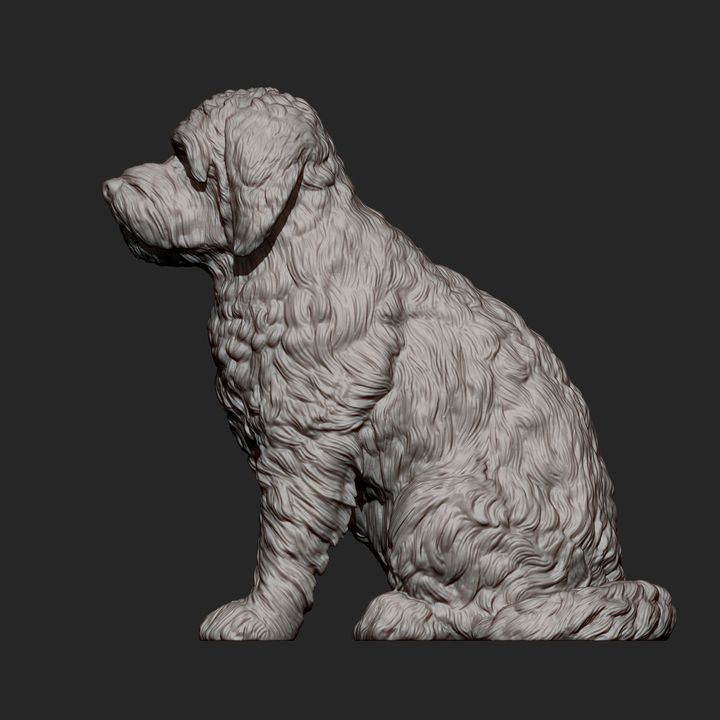 3D Printable GoldenDoodle by Alexander3dart