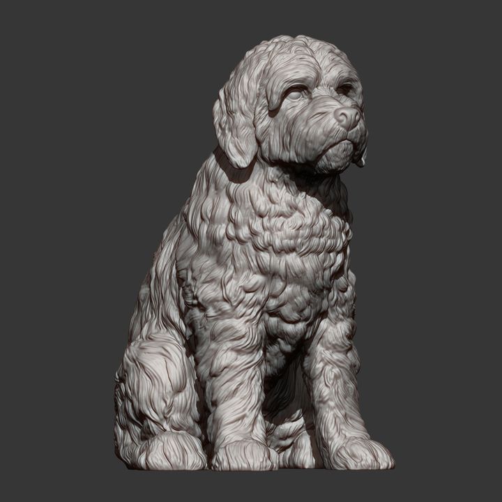 3D Printable GoldenDoodle by Alexander3dart