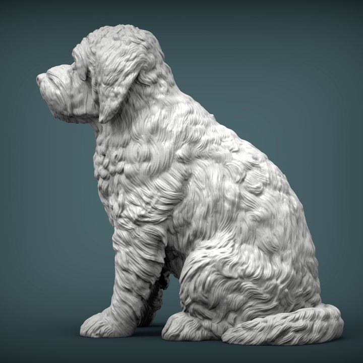 3D Printable GoldenDoodle by Alexander3dart
