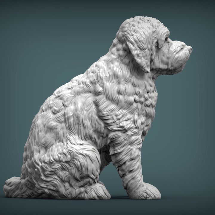 3D Printable GoldenDoodle by Alexander3dart