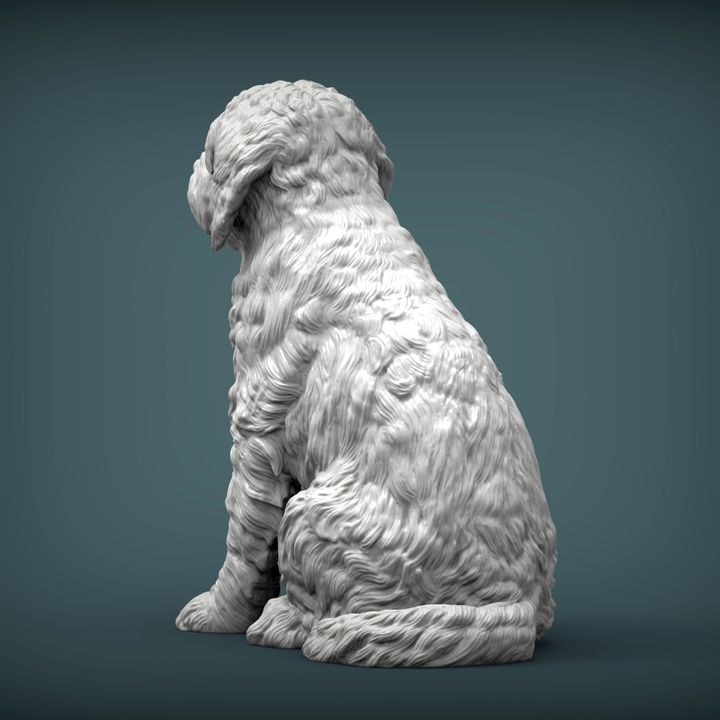 3D Printable GoldenDoodle by Alexander3dart