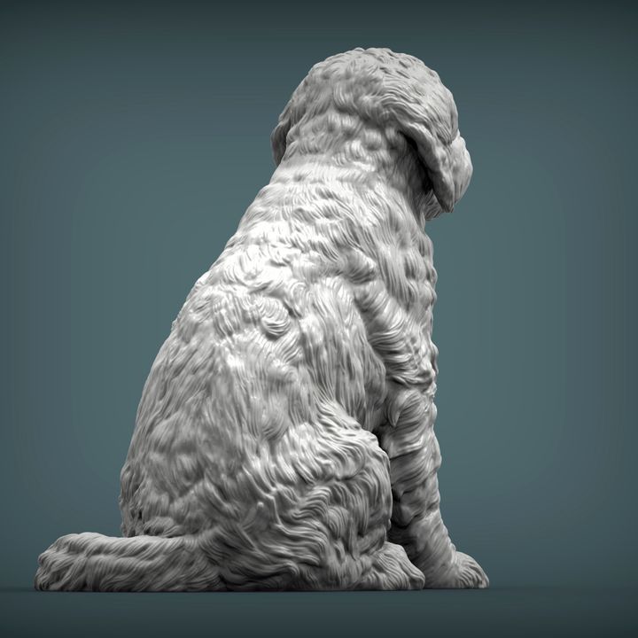3D Printable GoldenDoodle by Alexander3dart