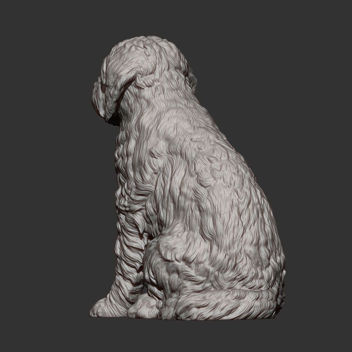 3D Printable GoldenDoodle by Alexander3dart