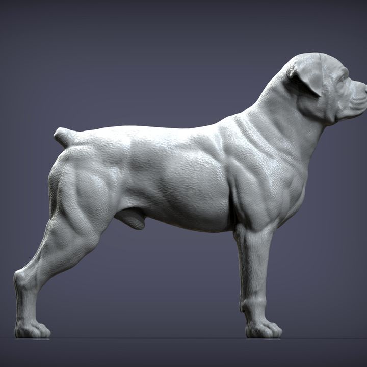 3D Printable rottweiler by Alexander3dart
