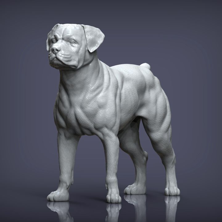 3D Printable rottweiler by Alexander3dart