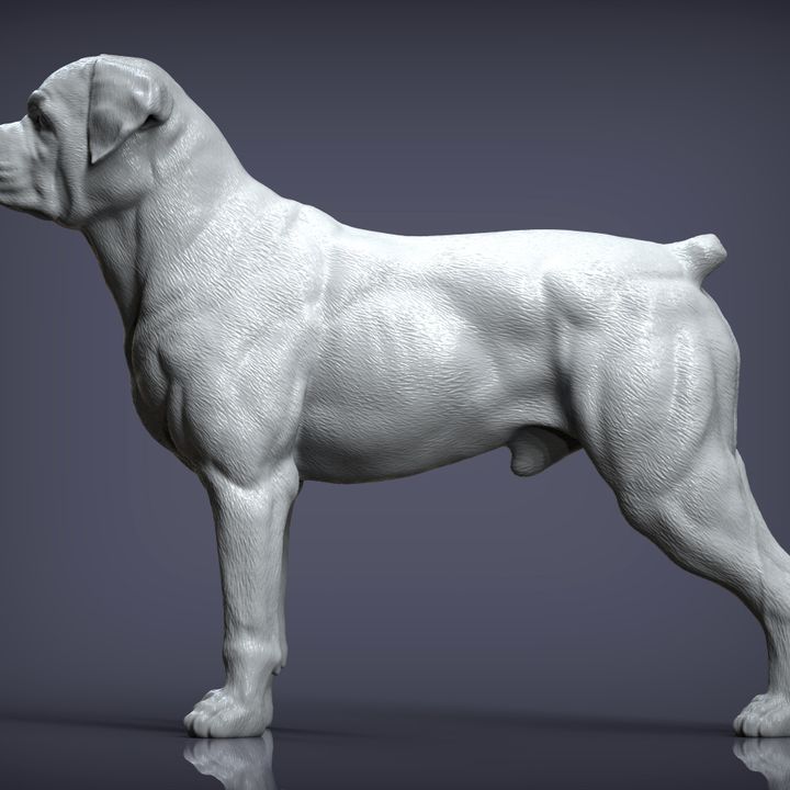 3D Printable rottweiler by Alexander3dart