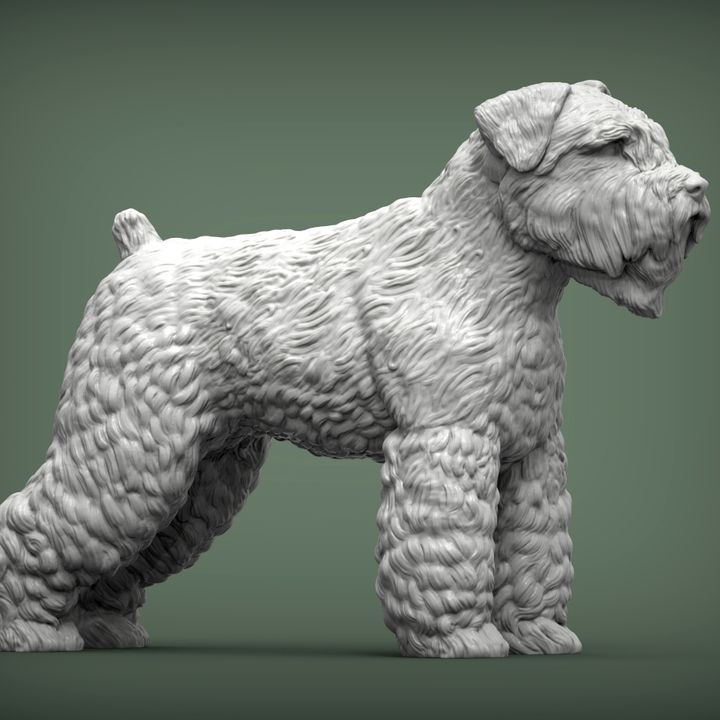 3D Printable Bouvier by Alexander3dart