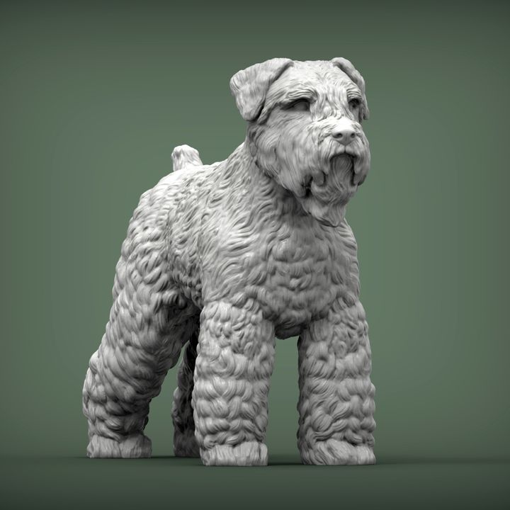 3D Printable Bouvier by Alexander3dart