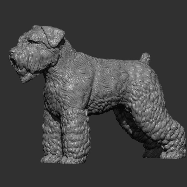 3D Printable Bouvier by Alexander3dart