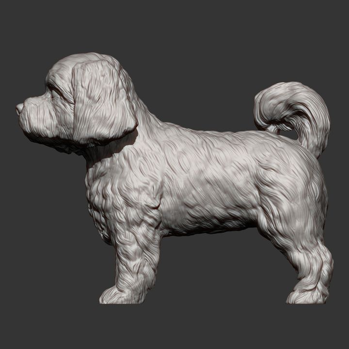3D Printable Maltese dog by Alexander3dart