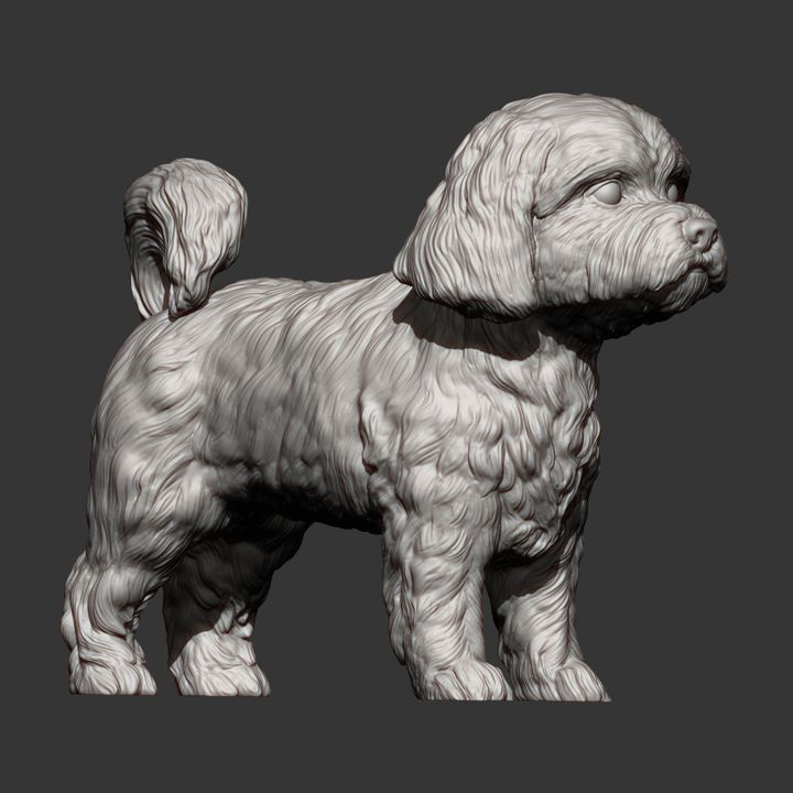 3D Printable Maltese dog by Alexander3dart