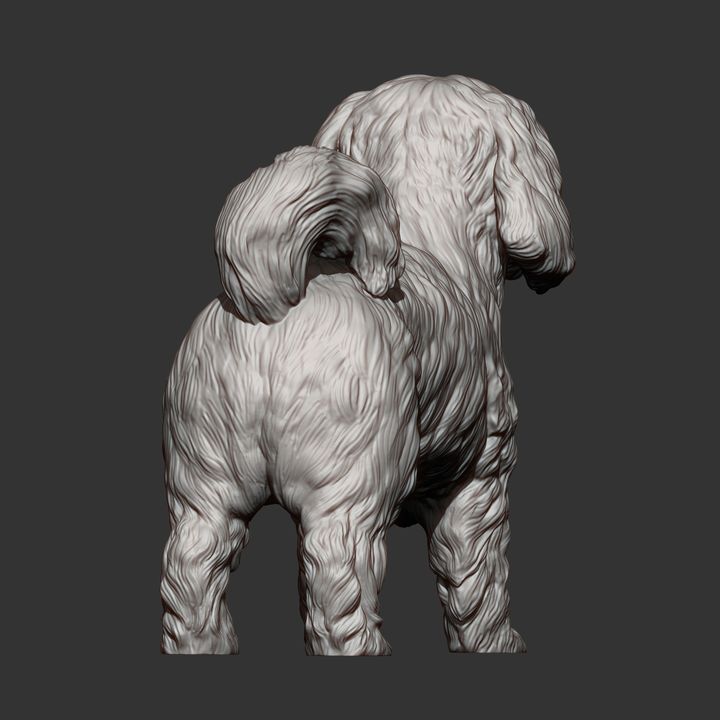 3D Printable Maltese dog by Alexander3dart