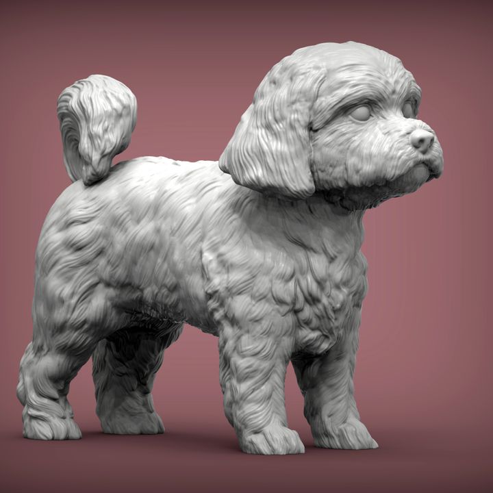3D Printable Maltese dog by Alexander3dart