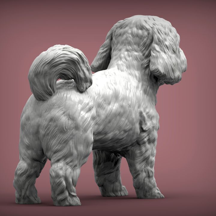3D Printable Maltese dog by Alexander3dart