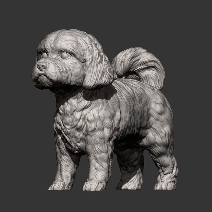 3D Printable Maltese dog by Alexander3dart