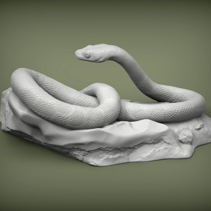 3D Printable Trans-pecos rat snake by Alexander3dart