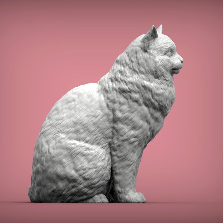 3D Printable Ragdoll cat by Alexander3dart