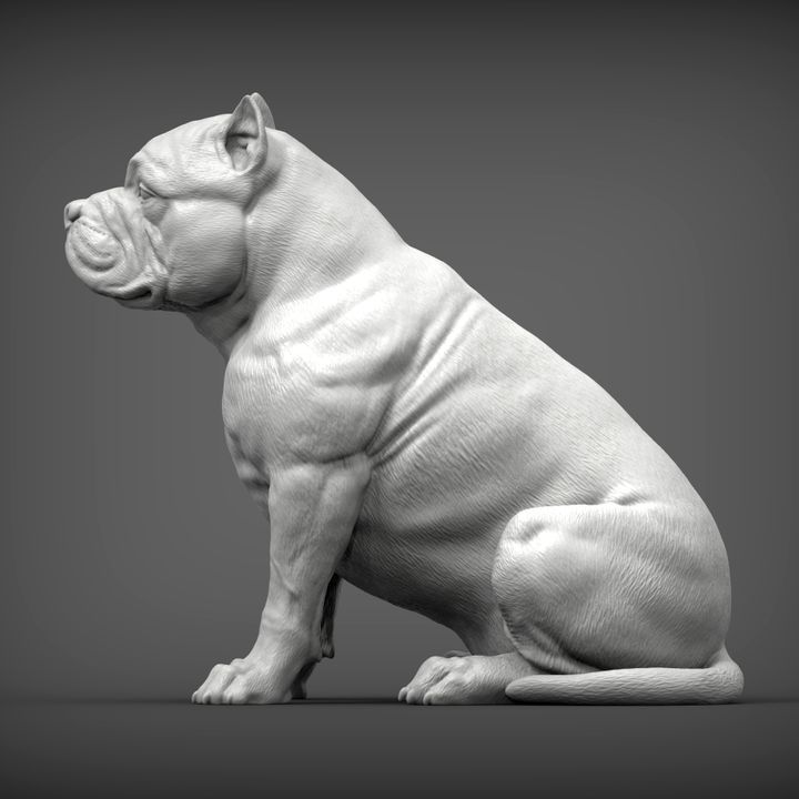 3D Printable American Bully by Alexander3dart
