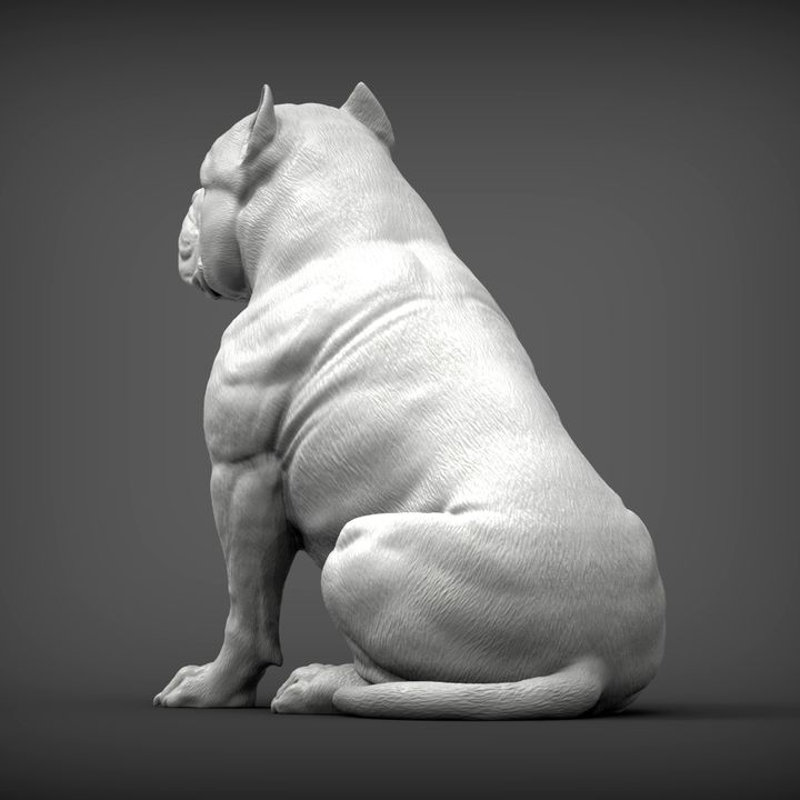 3D Printable American Bully by Alexander3dart