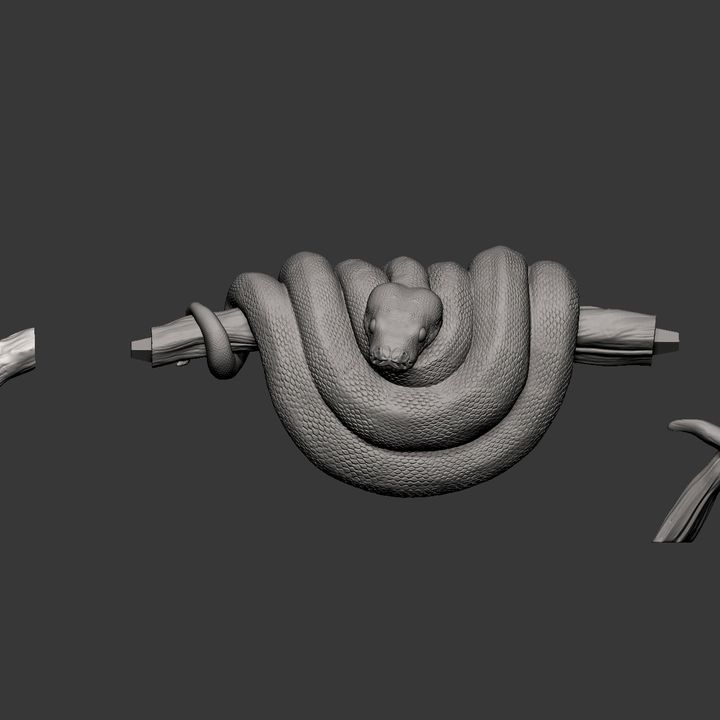 3D Printable green tree python by Alexander3dart