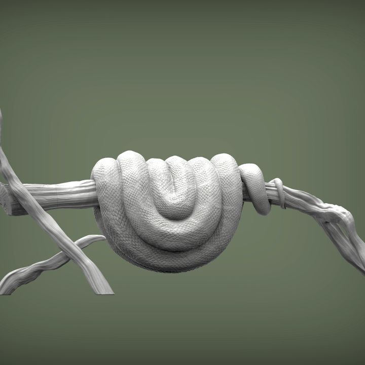 3D Printable green tree python by Alexander3dart